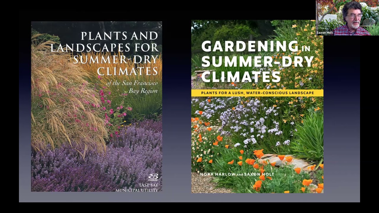 Gardening in Summer-Dry Climates with Saxon Holt
