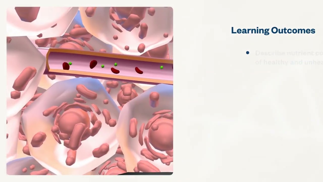 Your Diet and Your DNA | Virtual Lab