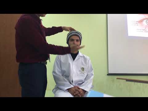 Examination of the cranial nerves