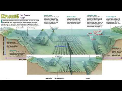 Ocean Relief: Abyssal Plain, Submarine Canyon