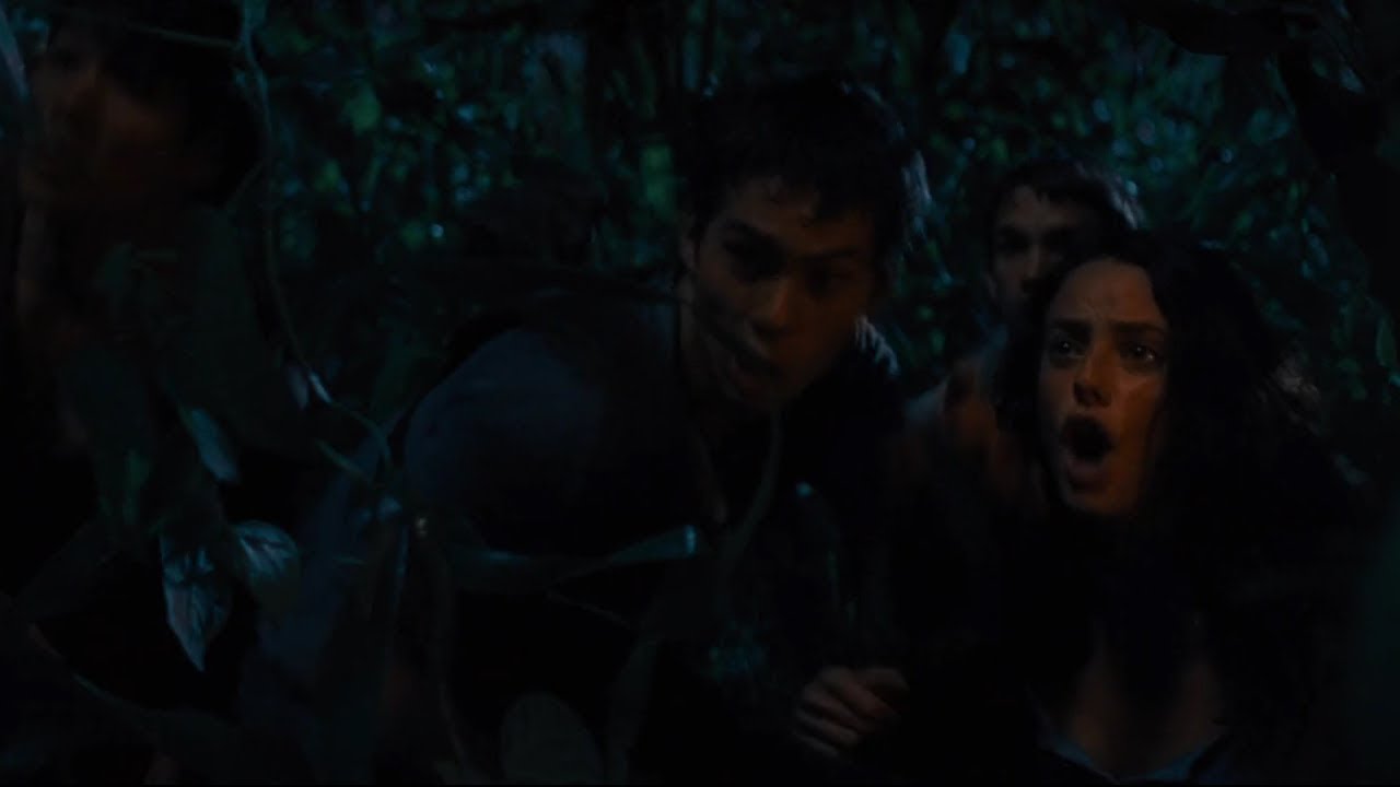 Grievers Attack The Glade [The Maze Runner]