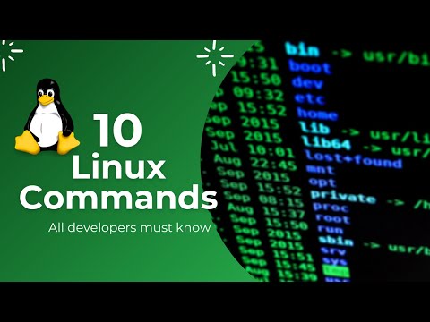 10 Linux Commands You Need To Know