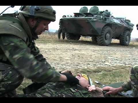 Training the Trainer
