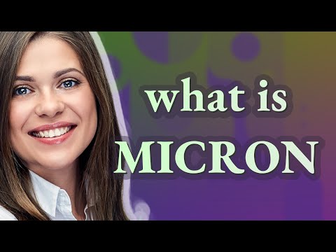 Micron | meaning of Micron