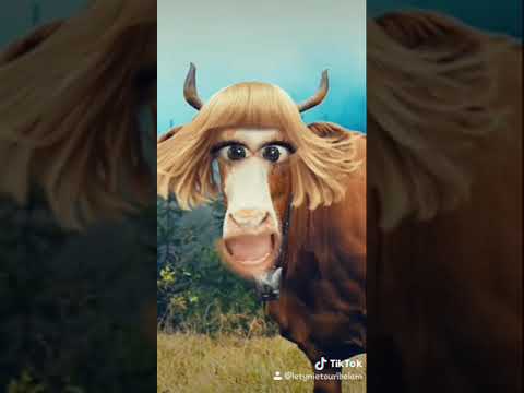 La vaca Lola
