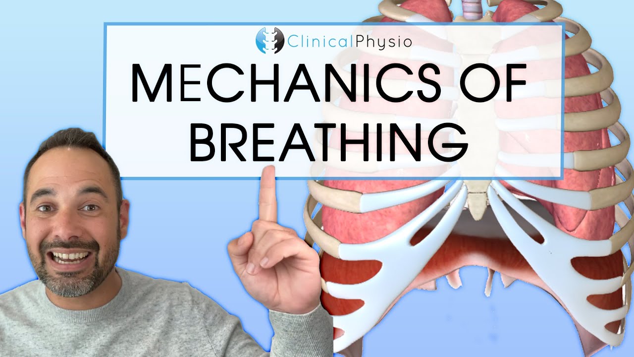 Breathing Mechanics Made Easy | Expert Physio Guide