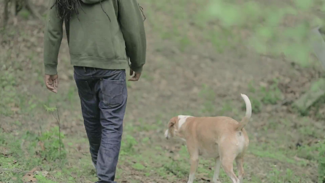 25 Weed Rap Superlatives For Hip-Hop 50 | Talking Joints Memo