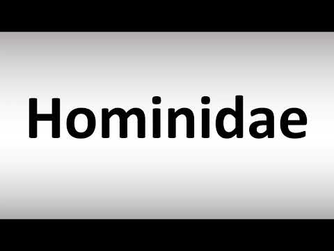 How to Pronounce Hominidae