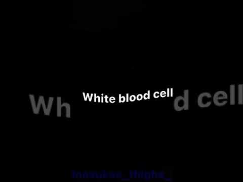 NO ONE TALKS ABOUT CELLS AT WORK