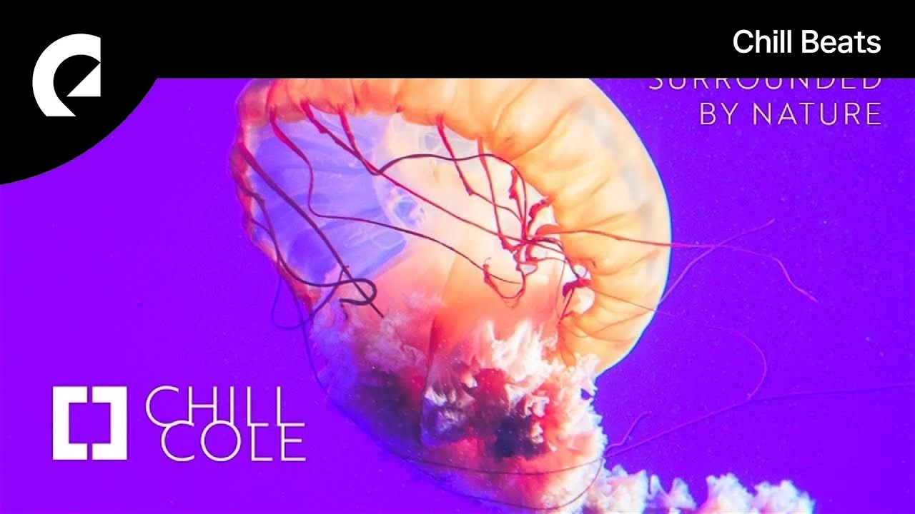 Chill Cole - Surrounded by Nature