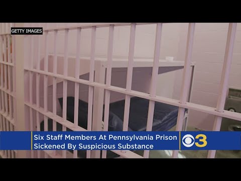 Officials: Several Staff Members At Pennsylvania Prison Sickened By Suspicious Substance