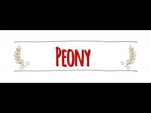 American vs Australian Accent: How to Pronounce PEONY in an Australian or American Accent