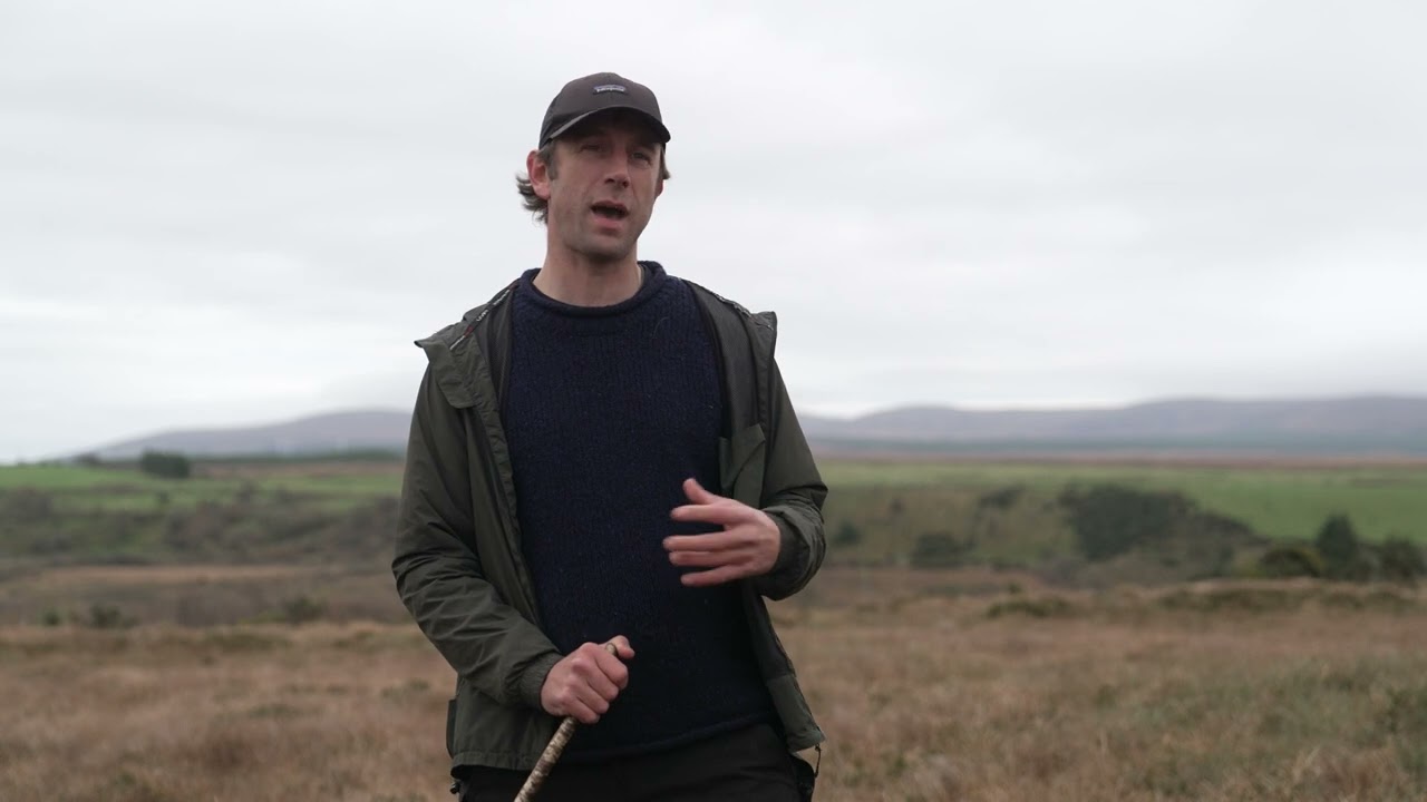 The Canopy Sligo x Hometree : The Wild Atlantic Forest Project