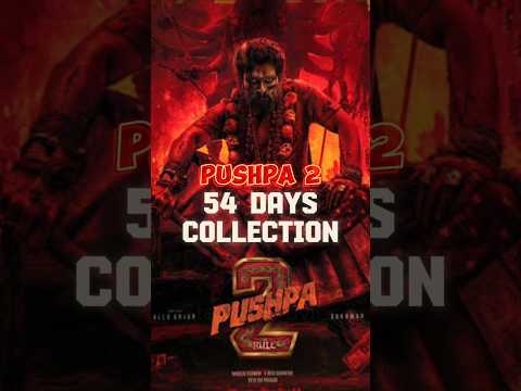 Pushpa 2 54 day collection #shorts