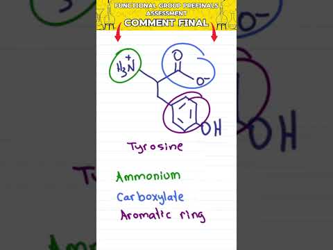 Functional Groups Practice in Tyrosine - Organic Chemistry Finals Review