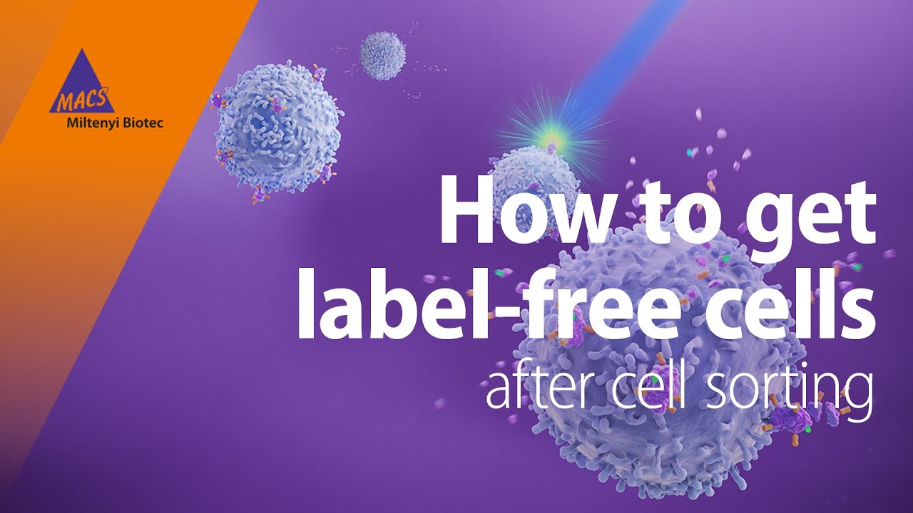 How to get label-free cells after cell sorting