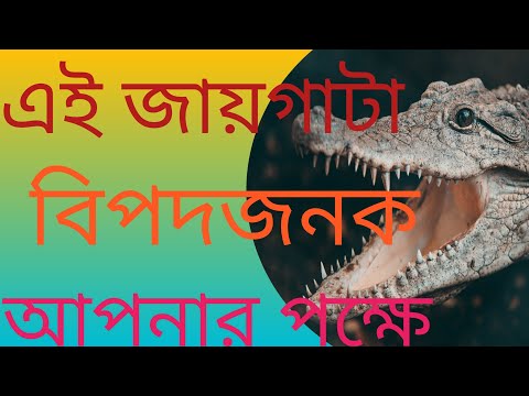 COMFORT ZONE Bengali story|comfort zone kya hota hai| #motivation #comfortzone #bengalimotivation