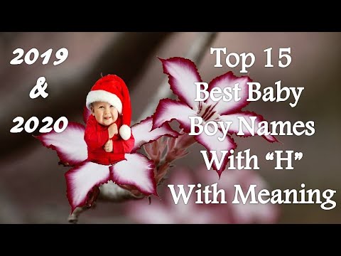 Indian Hindu baby boy names with H with meaning