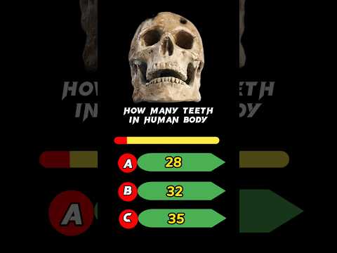 how many teeth in human body 🤔?#quiz