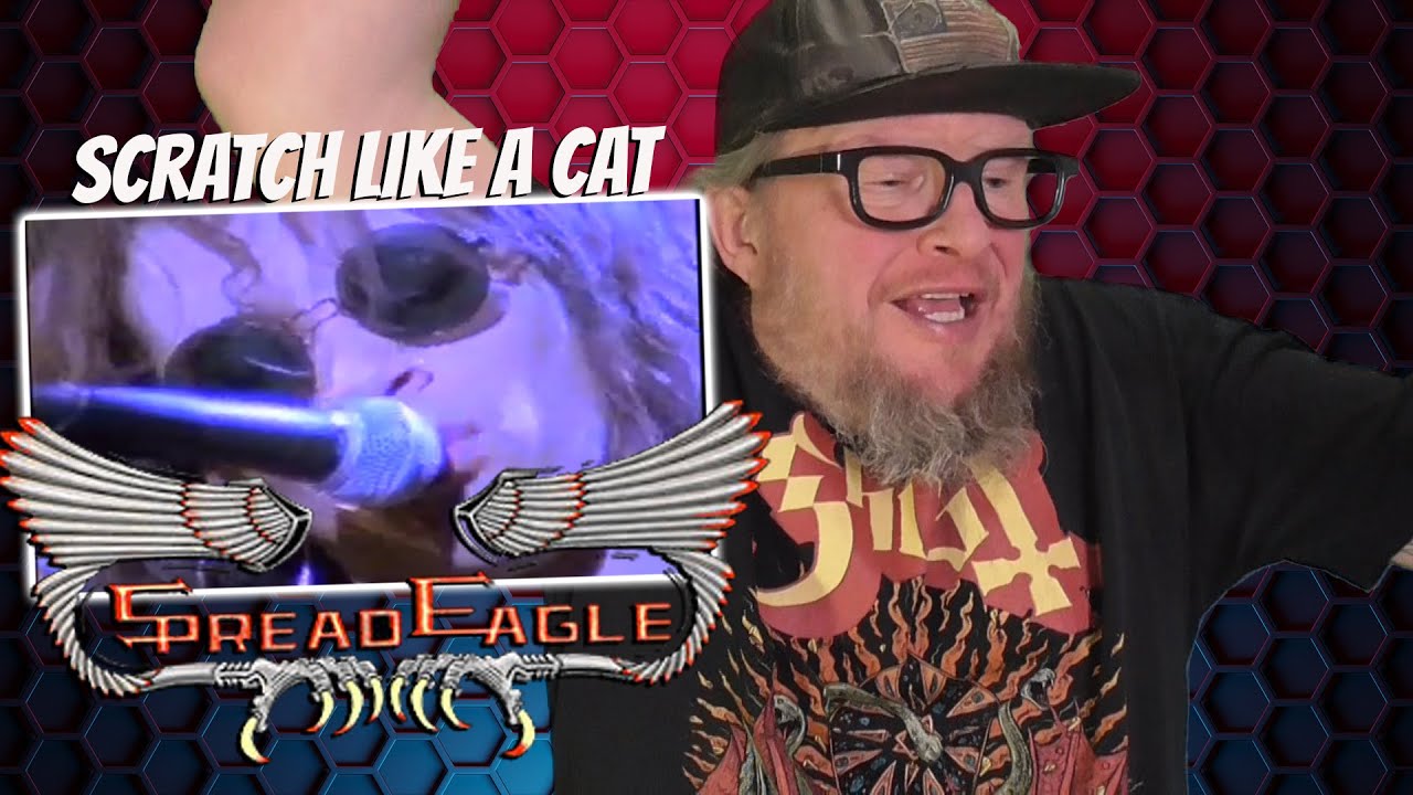 Scratch Like a Cat by SPREAD EAGLE (Reaction)