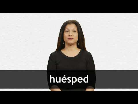 English Translation of “HUÉSPED” | Collins Spanish-English Dictionary
