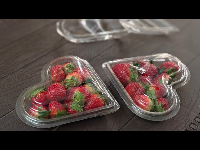 Plastic Punnets - 500 Gm Punnet Box Manufacturer from New Delhi