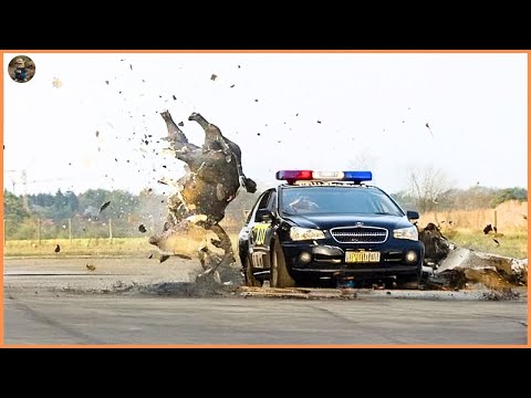 LIVE: 25 Horrifying Moments When Trucks And Planes Collide With Animals | Invasive Species