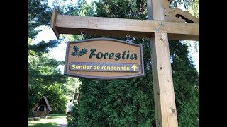 3 Meilleurs Sentiers De Randonnée à Trois-Rivières, QC ...