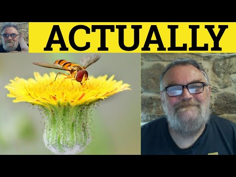 🔵 Actually Meaning - Actual Definition - Actually Examples - Adjectives Adverbs - Actual Actually
