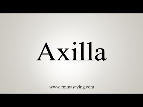 How To Say Axilla