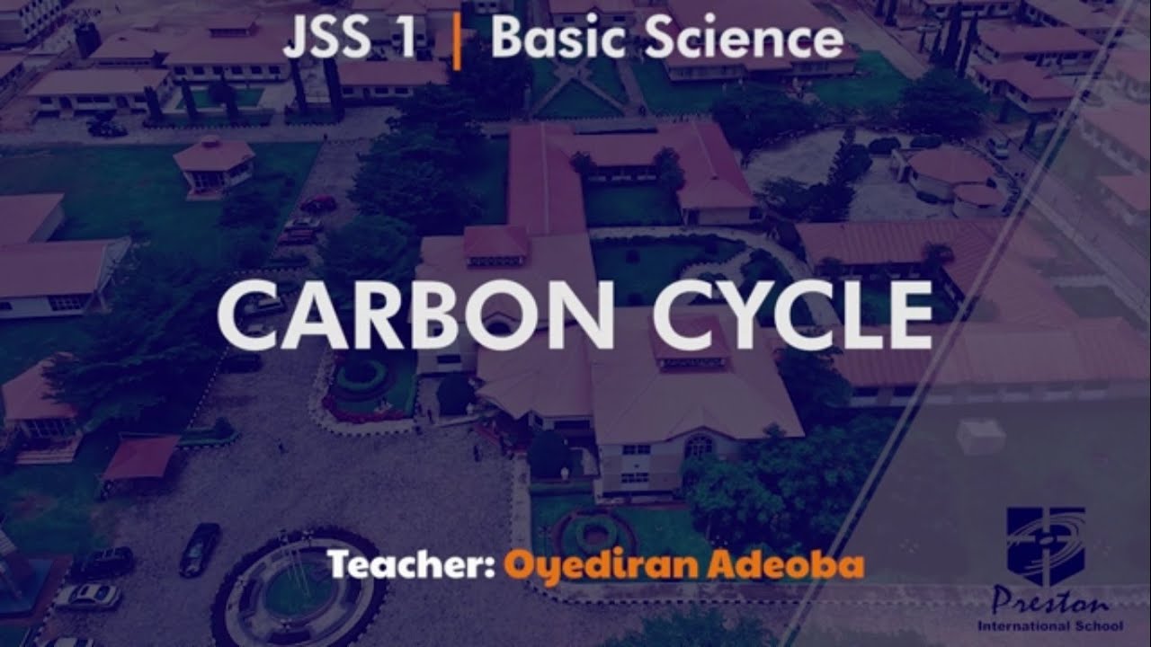 Carbon Cycle - JSS1 Basic Science