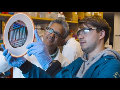 Master of Translational Medicine Program at UC Berkeley & UCSF