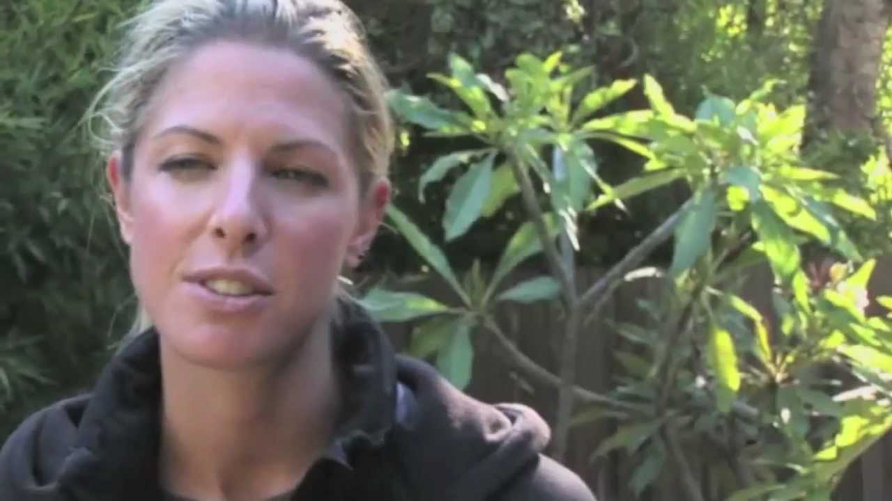 Angi BIO 2013