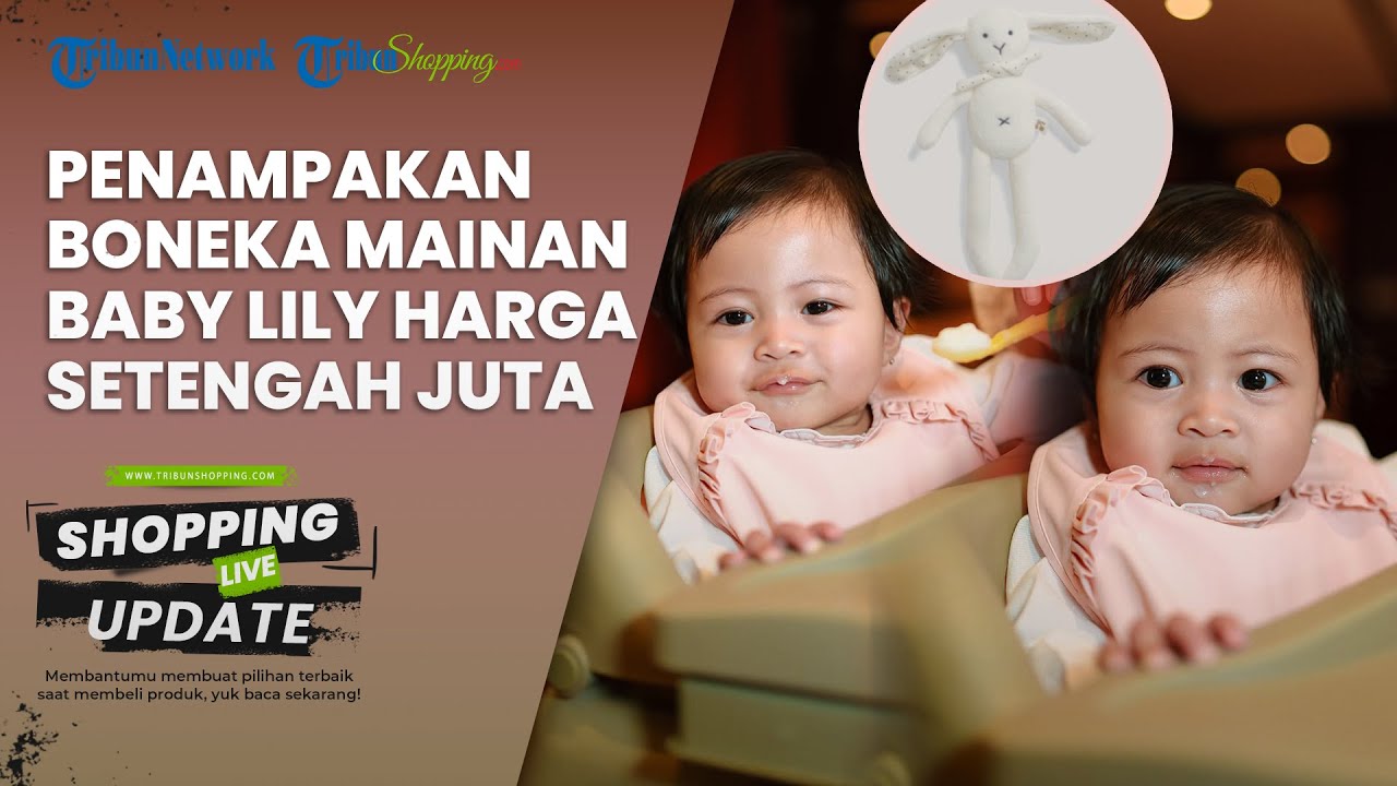 Ukurannya Mini, Harga Boneka Mainan Baby Lily Disorot, Dibanderol Fantastis Capai Setengah Juta ...