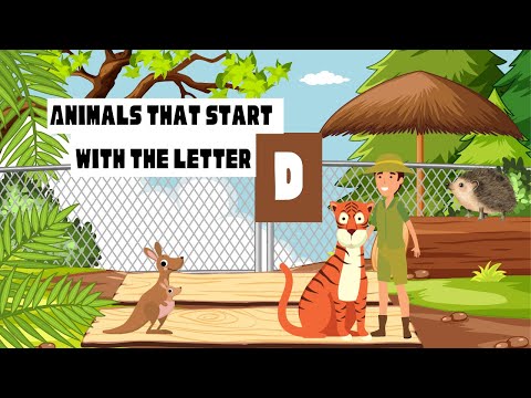 Discovering Delightful Animals: 5 Fascinating Creatures that Start with the Letter D! Kids video