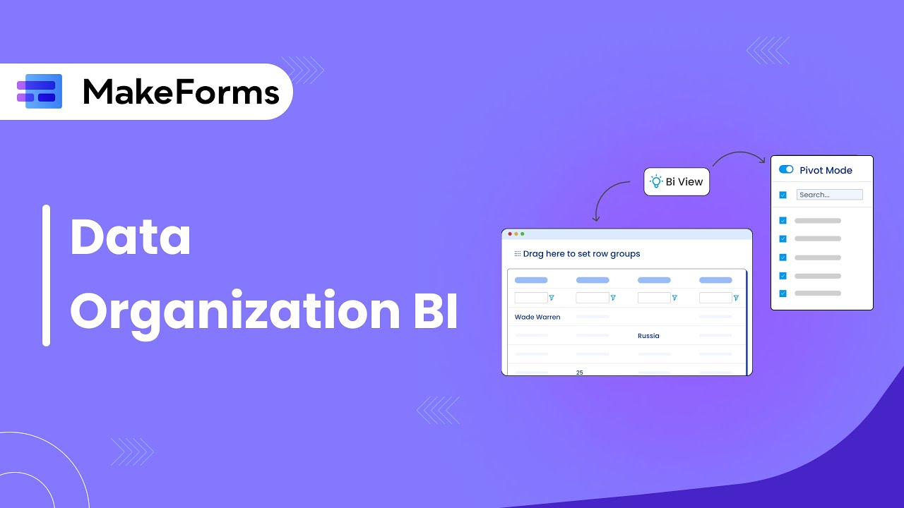 Data Organization BI | MakeForms
