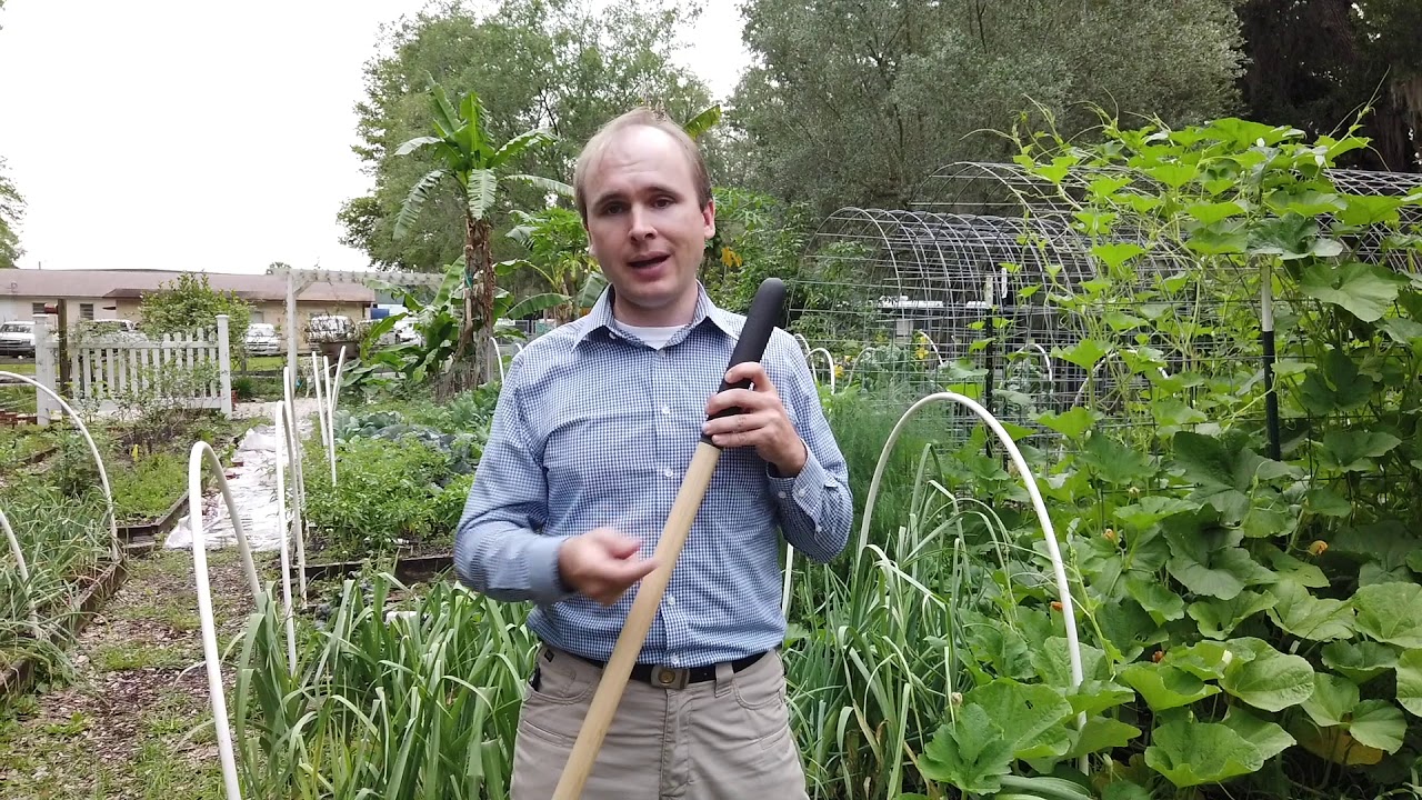 Planting Do's and Don'ts with UF/IFAS Extension Agent Mark Bailey