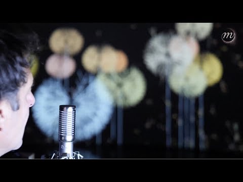 Artistes et Robots : coup d'oeil sur "Les Pissenlits" (E.Couchot et M.Bret)