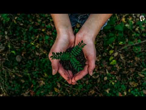 The Mindspace Podcast #25: Mindfulness to Meaning with Professor Norman Farb