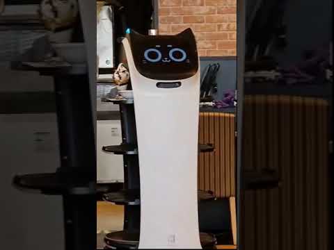 Steam Community :: Video :: Right in front of you [TF2][BellaBot][meme]