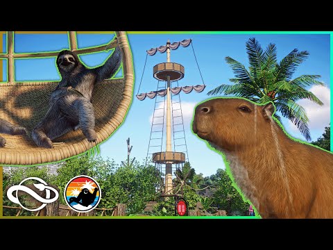 Steam Community :: Video :: Pirate-Themed Capuchin Capybara AND Sloth ...