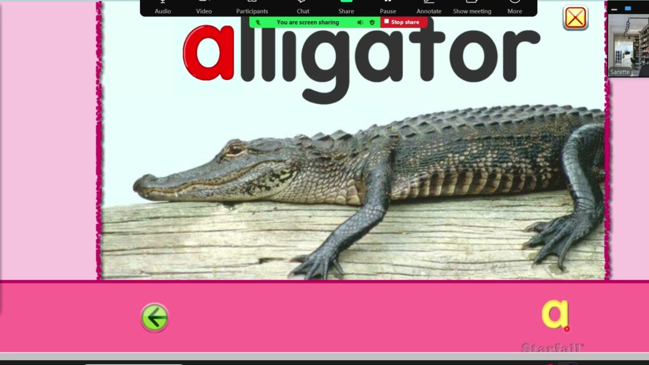 Starfall.com Reading Website for Beginner ESL Students