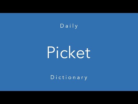 Picket (Daily Dictionary)