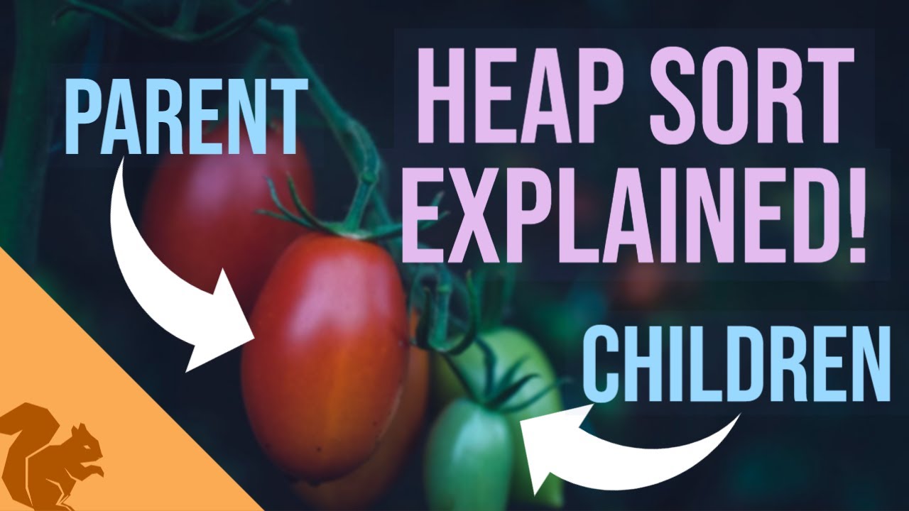 Heap Sort Sorting algorithm explained![With example and pseudocode]-ChipTalksComputers