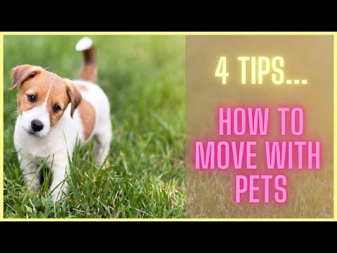 ???????????? Moving With Pets????????????
