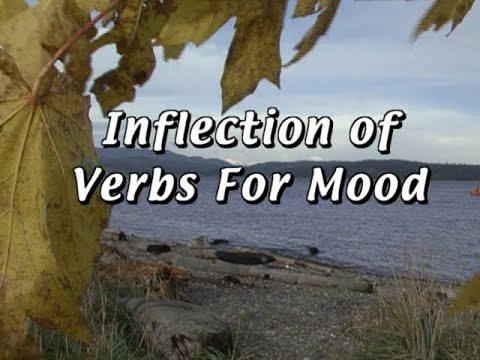 Indicative Imperative Subjunctive Mood | Inflection Of Verbs in English Grammar