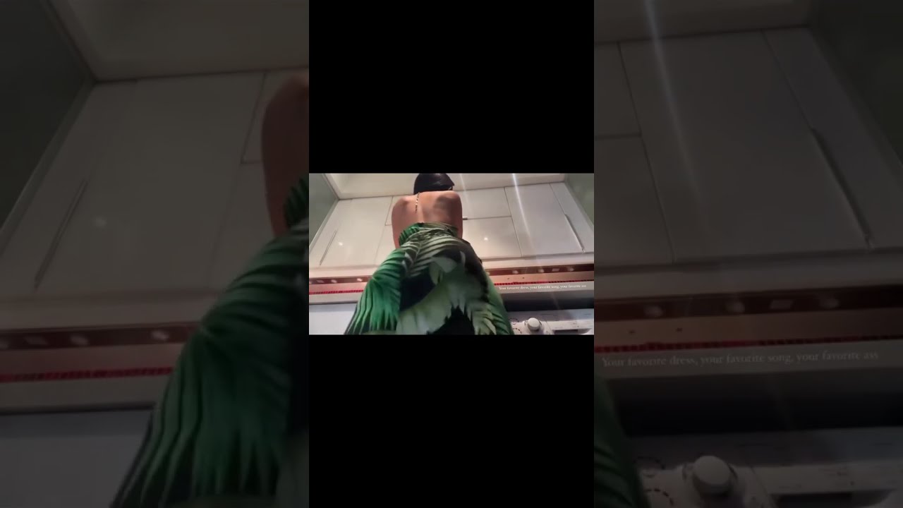 2025 instagram baddies how to dance compilation