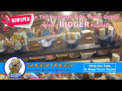 The Soggy Doggy is Open For Business in Normandy Park with an even BIGGER facility!