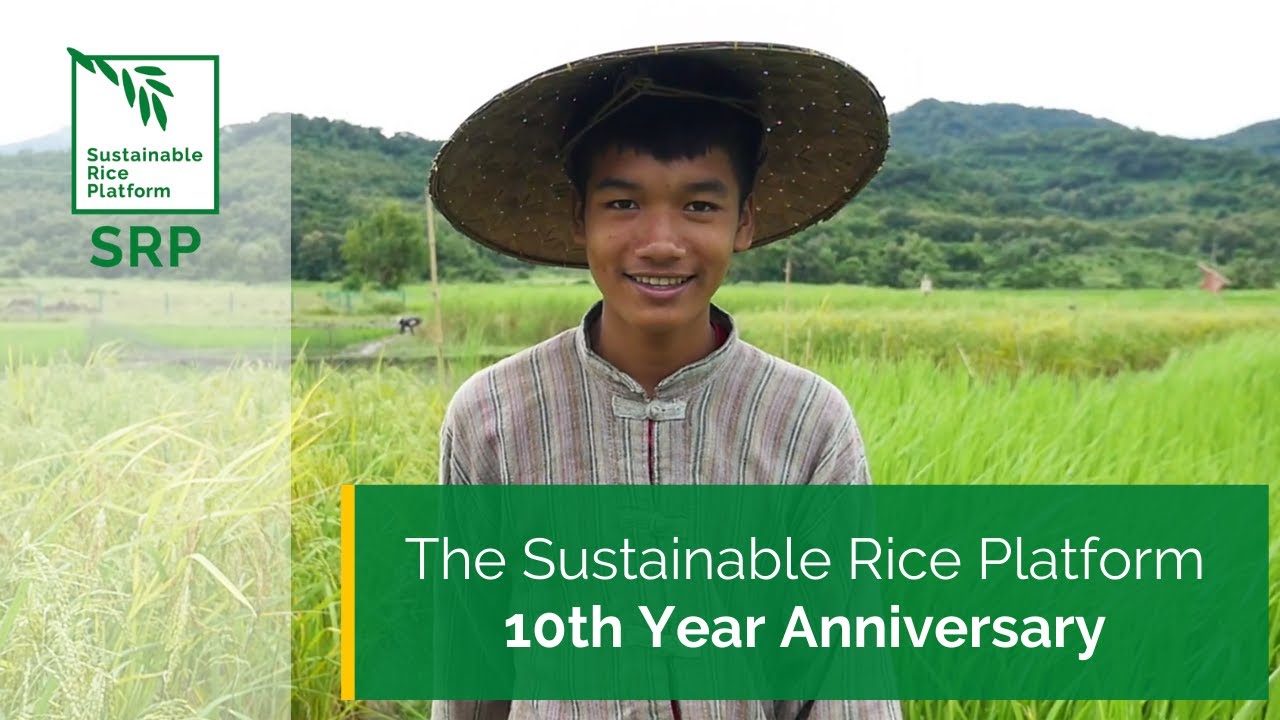 The Sustainable Rice Platform (SRP) | Our 10th Year Anniversary Video