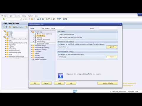 6.2 Navigation in the SAP System Part 2